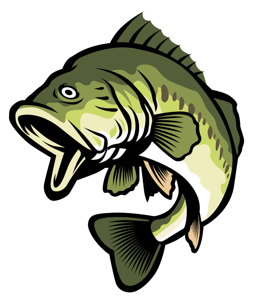 Largemouth Bass Clipart At GetDrawings Free Download Largemouth Bass Clipart At GetDrawings Free Download