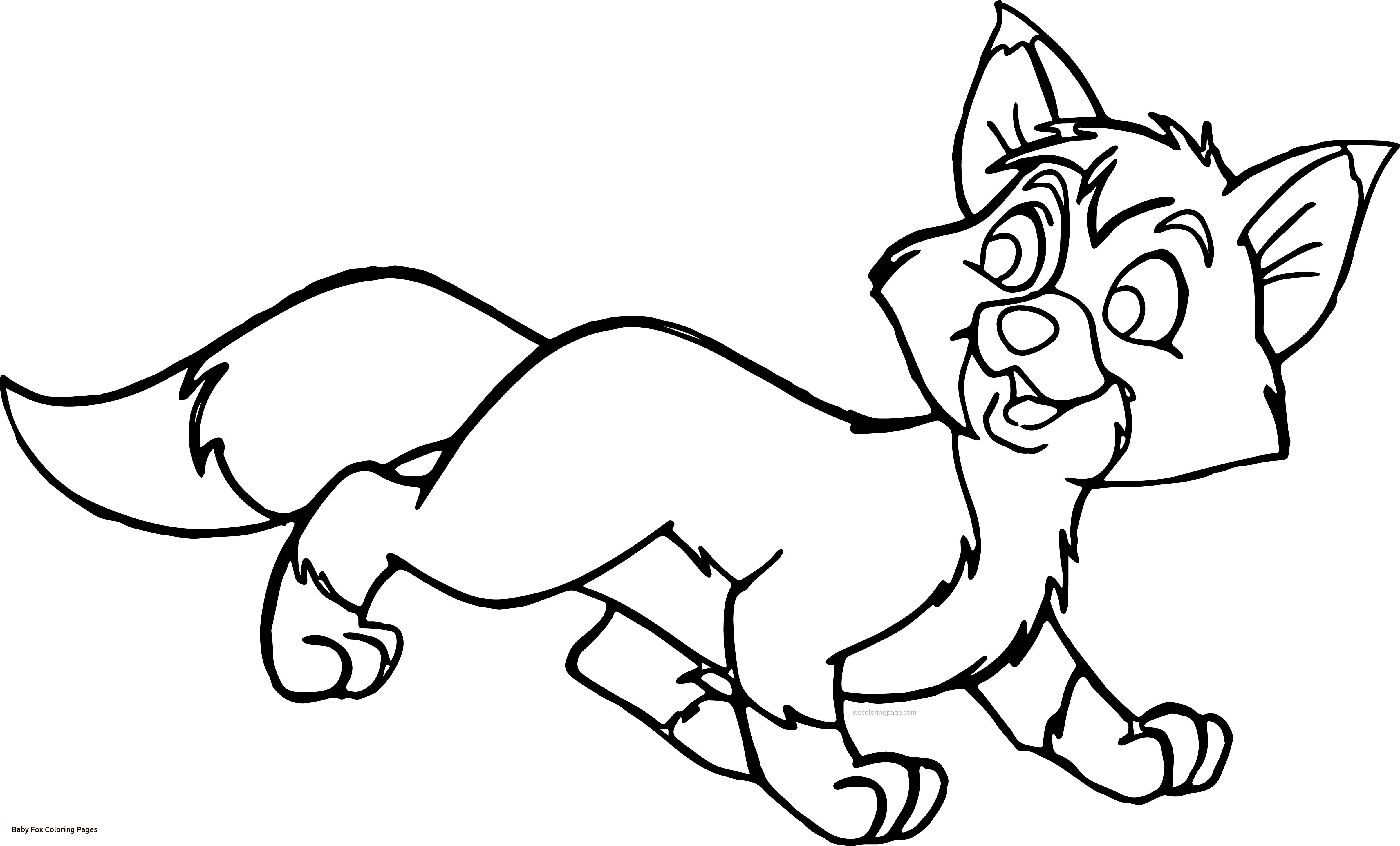 Baby Fox Coloring Pages at GetDrawings | Free download