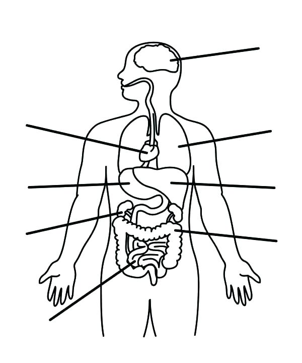 Body Parts Coloring Pages Printables At GetDrawings Free Download Body Parts Coloring Pages Printables At GetDrawings Free Download