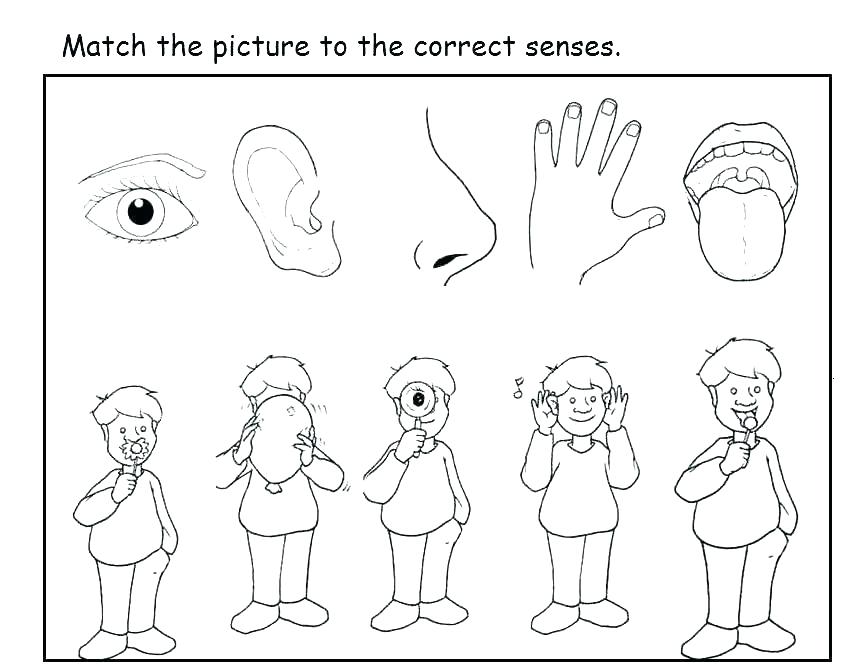 Body Parts For Kids Coloring Pages At GetDrawings Free Download Body Parts For Kids Coloring Pages At GetDrawings Free Download