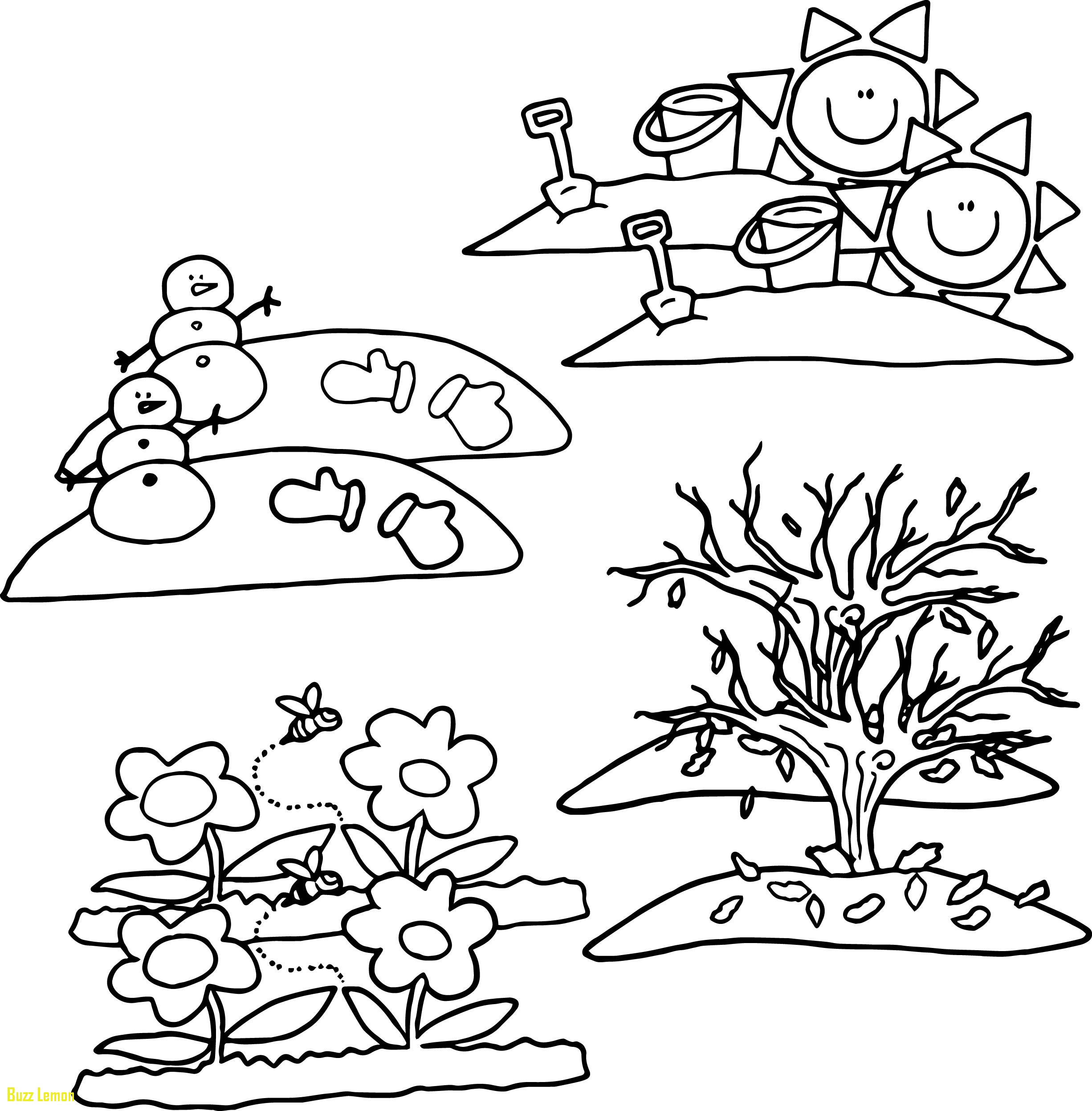 Four Seasons Coloring Page At GetDrawings Free Download