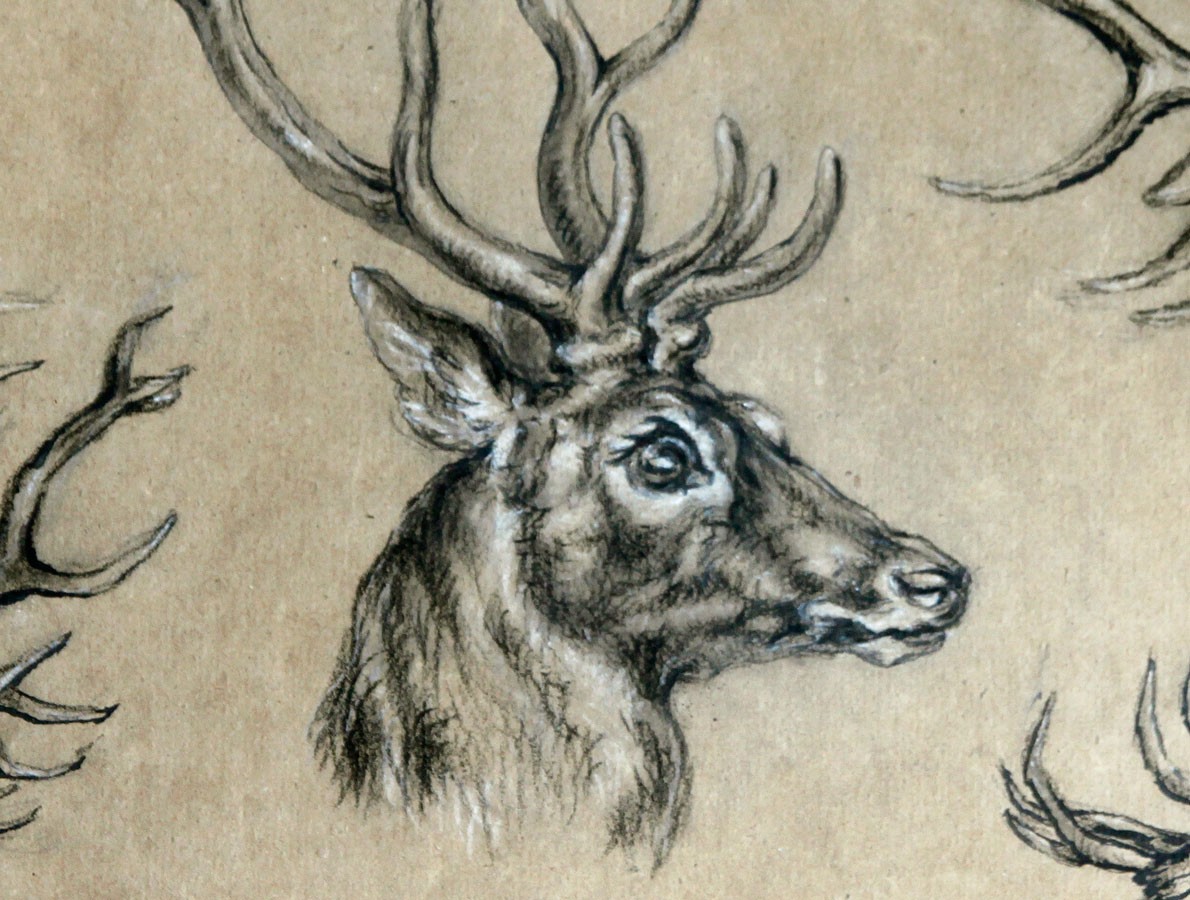 Stag Head Drawing At GetDrawings Free Download Stag Head Drawing At GetDrawings Free Download