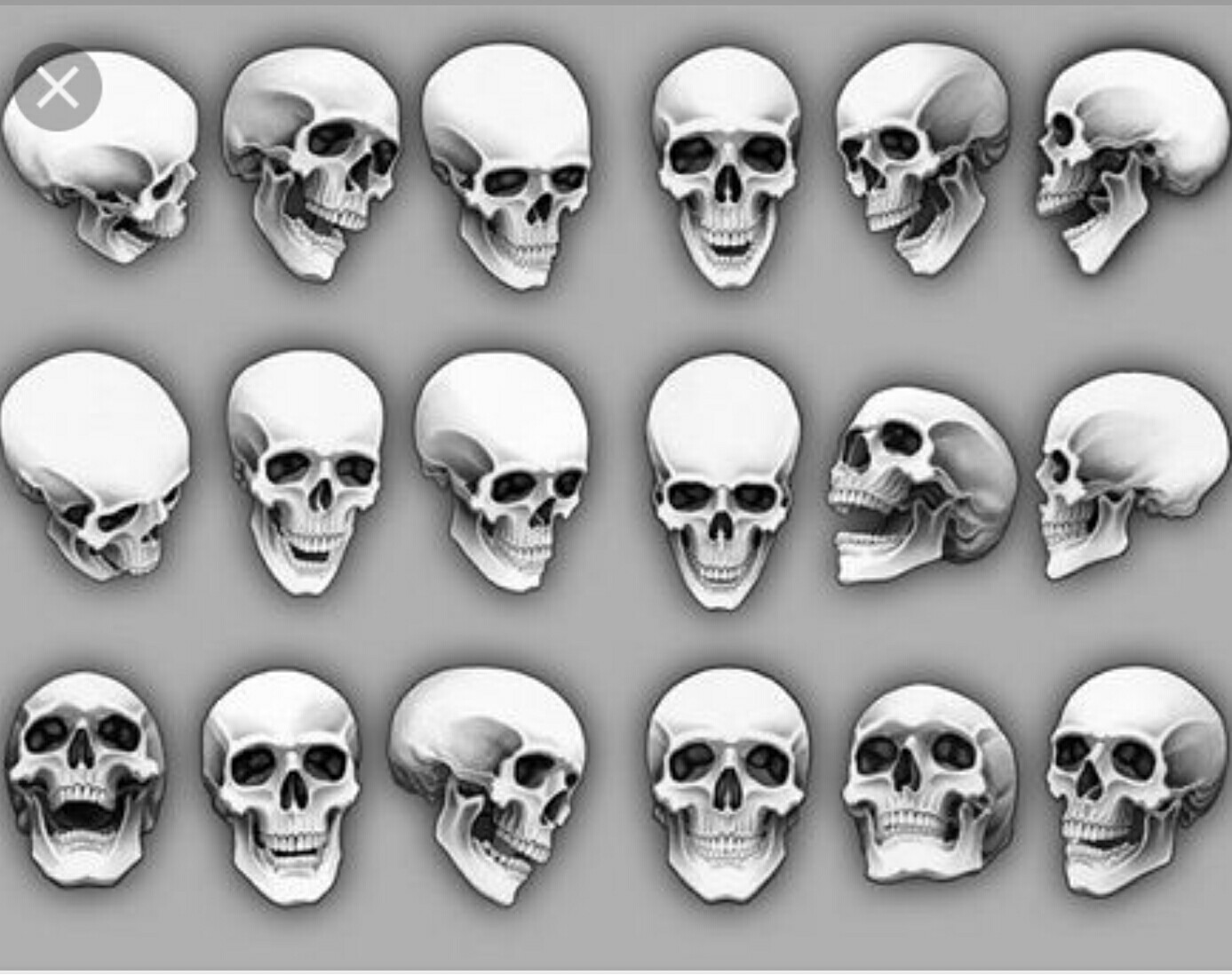 Human Skull Drawing Reference At GetDrawings Free Download