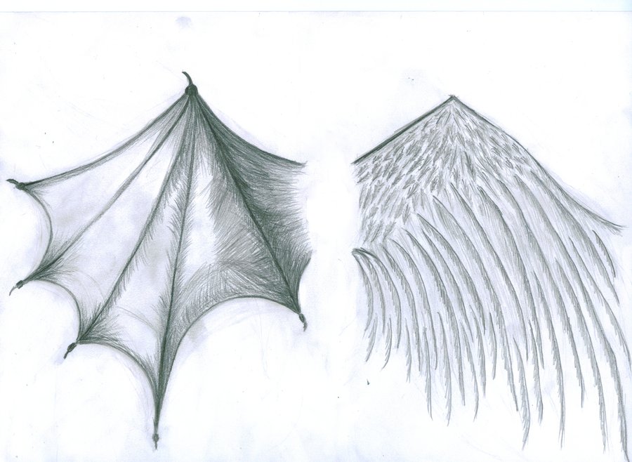 Demon Wing Drawing at GetDrawings | Free download