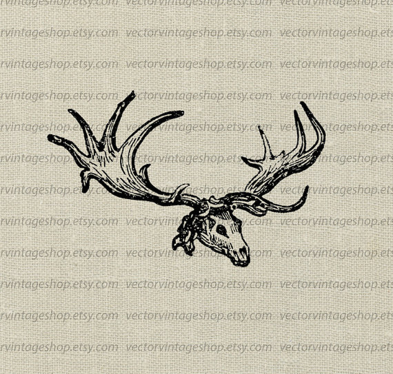 Elk Antlers Drawing at GetDrawings | Free download
