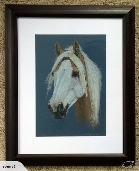 Paint Horse Drawing at GetDrawings | Free download