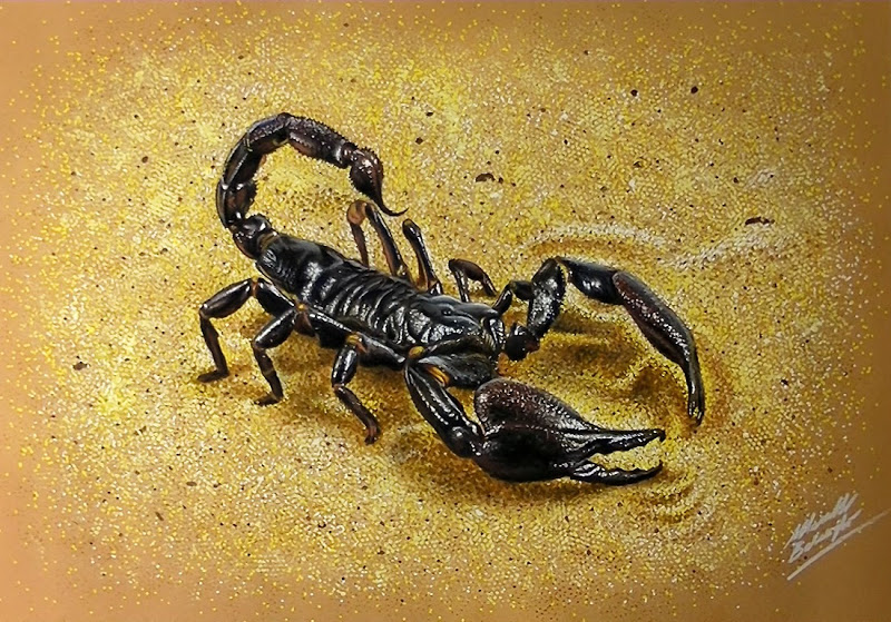 Scorpion Drawing at GetDrawings | Free download